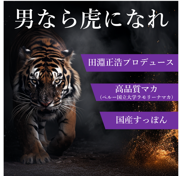 BASE TIGER（ベースタイガー） – N/A STORE